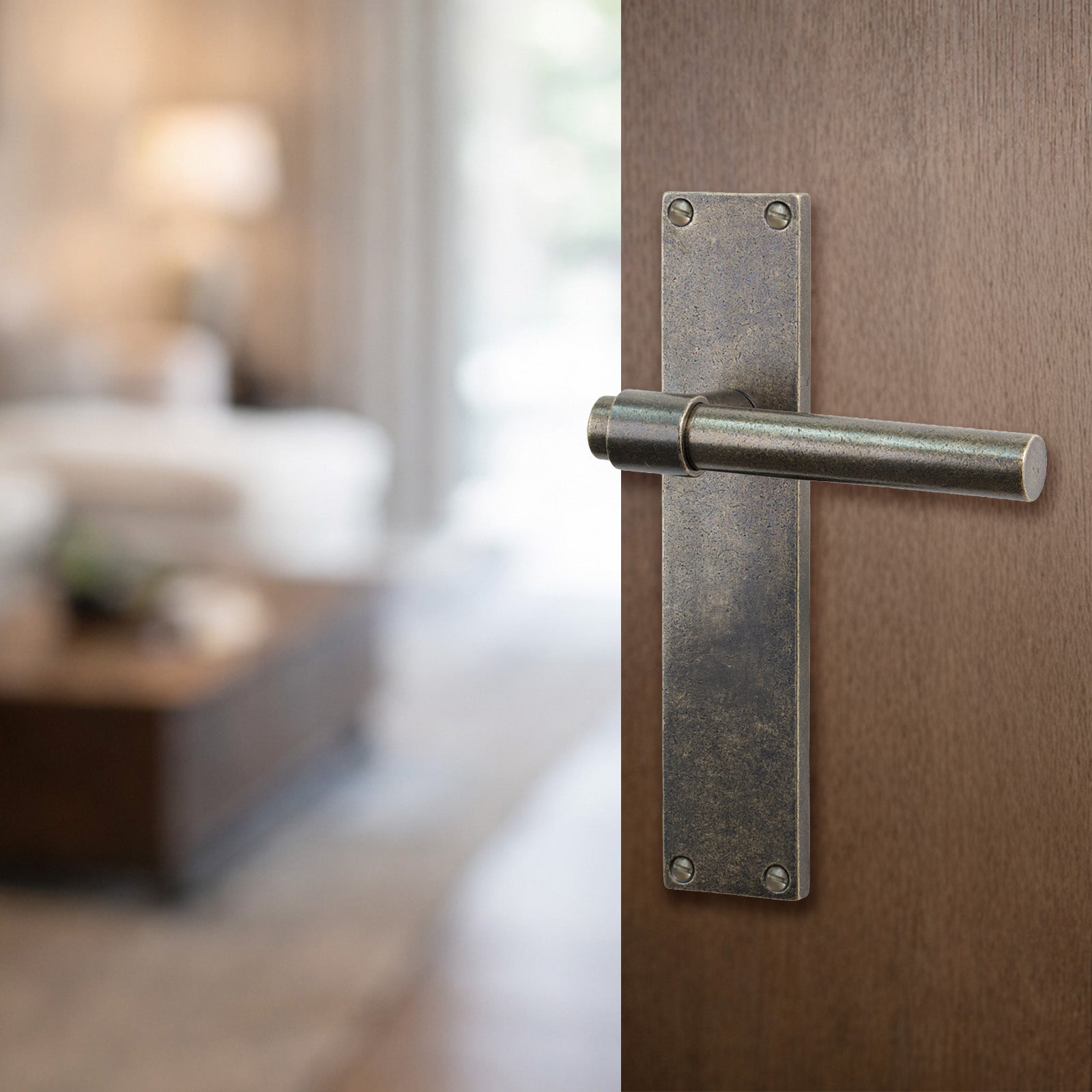Bronze Fountain Door Handle on Backplate | Bronze Hardware